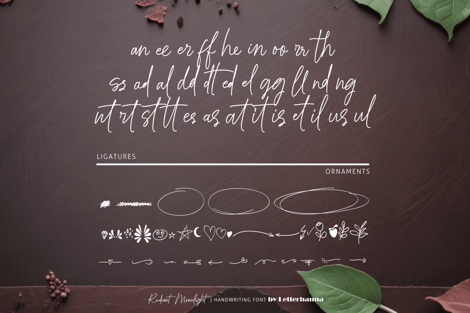 Radiant Moonlight Font - Letterhanna Studio