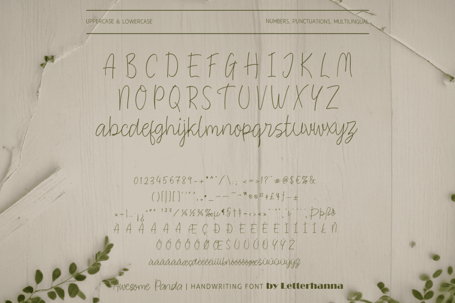 Awesome Panda Font - Letterhanna Studio
