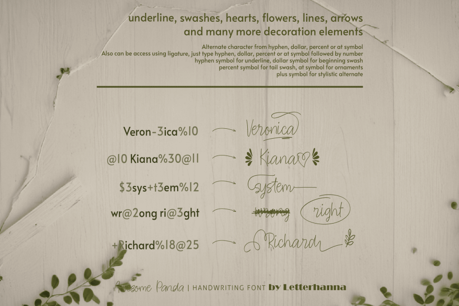Awesome Panda Font - Letterhanna Studio